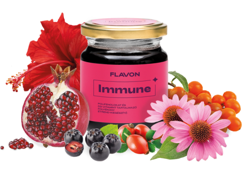 Flavon Immune 240g - Sklep internetowy Zielarnia Zdrowia